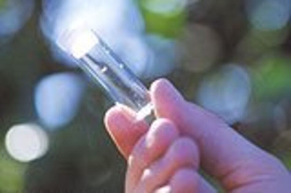 Proof of kinship : Revista Pesquisa Fapesp