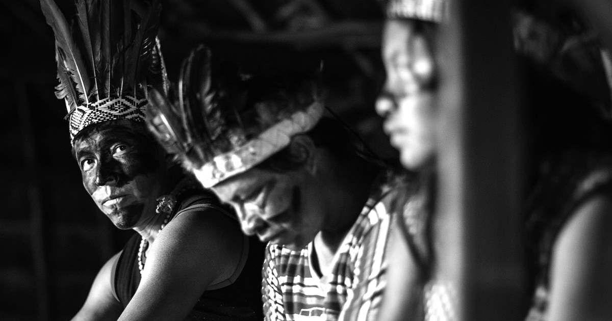 Ascensão e declínio dos Tupi : Revista Pesquisa Fapesp