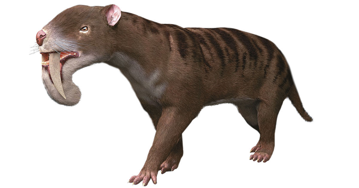 Animals of Paraná : Revista Pesquisa Fapesp