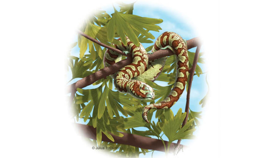 Serpientes ancestrales : Revista Pesquisa Fapesp