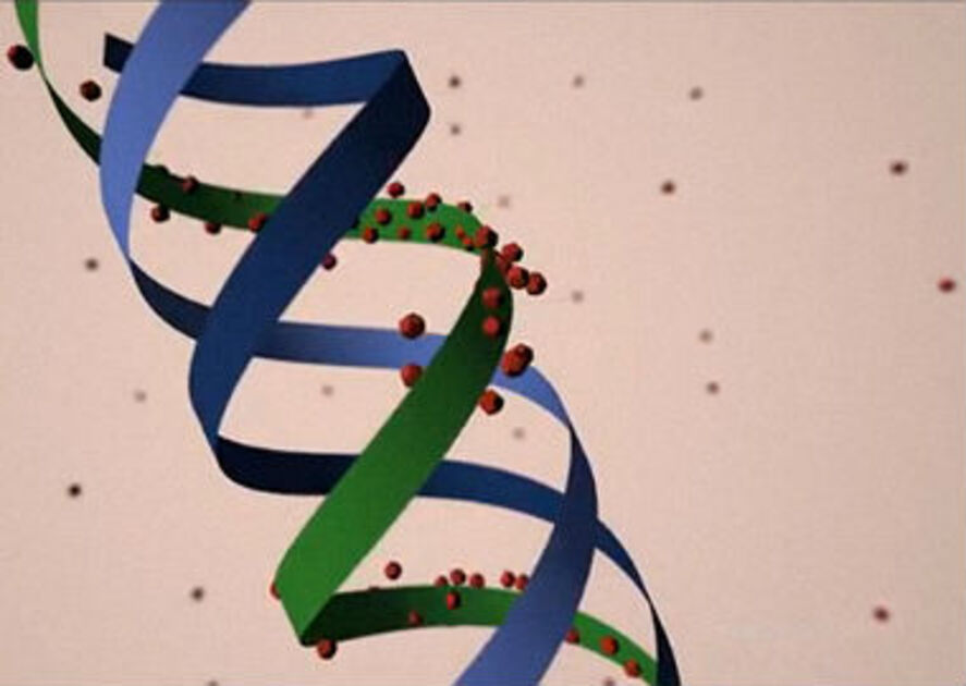 Brasileiro ajuda a desvendar segredo do DNA com tripla hélice : Revista ...