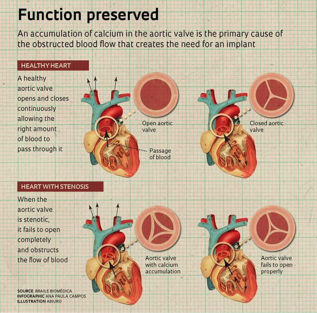 Flow restored : Revista Pesquisa Fapesp