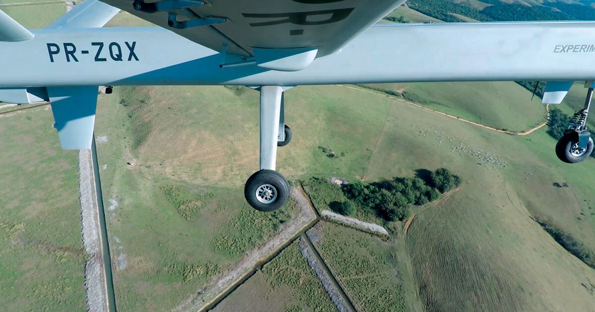 The Atobá takes flight : Revista Pesquisa Fapesp