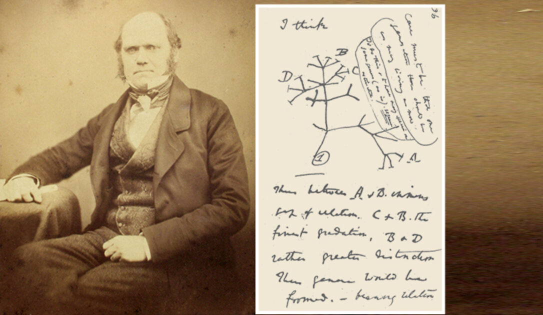 Darwin on-line : Revista Pesquisa Fapesp