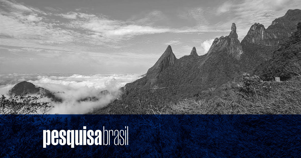 Lucas Pires de Oliveira : Revista Pesquisa Fapesp