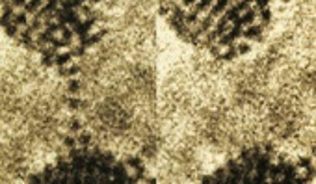 Átomos de ouro entram no circuito : Revista Pesquisa Fapesp