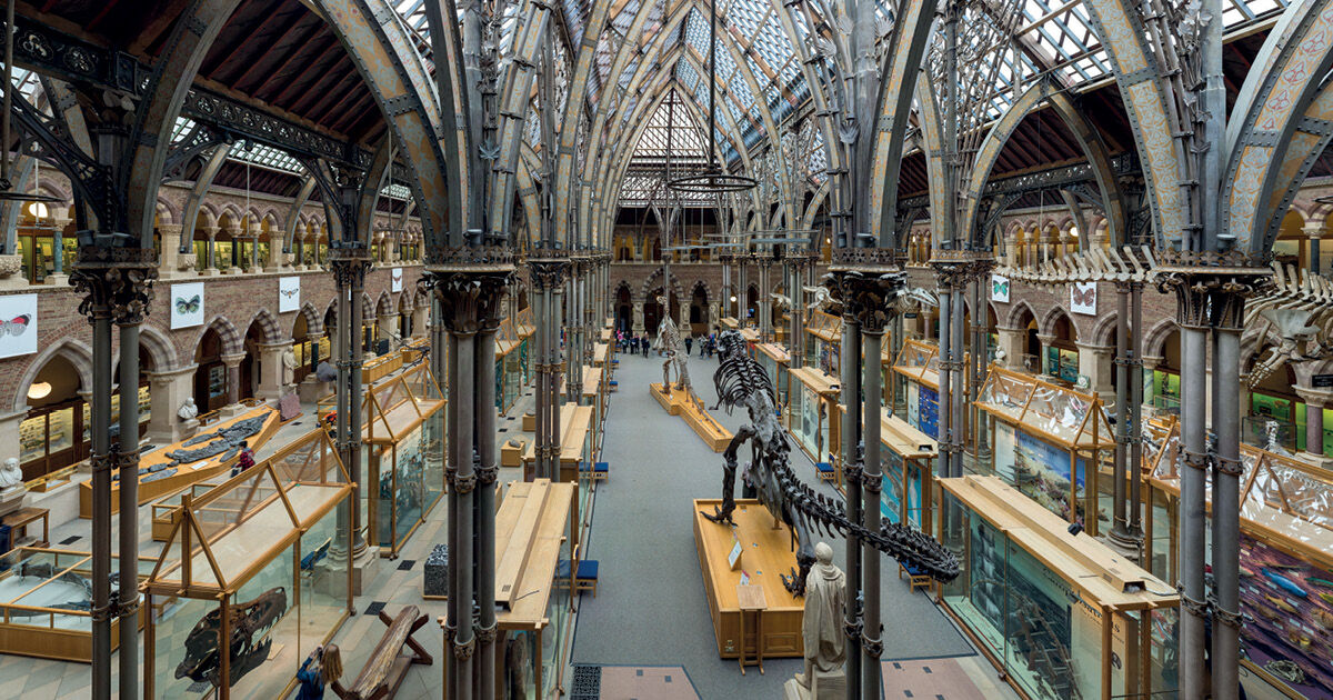 Strategies to keep museums healthy : Revista Pesquisa Fapesp