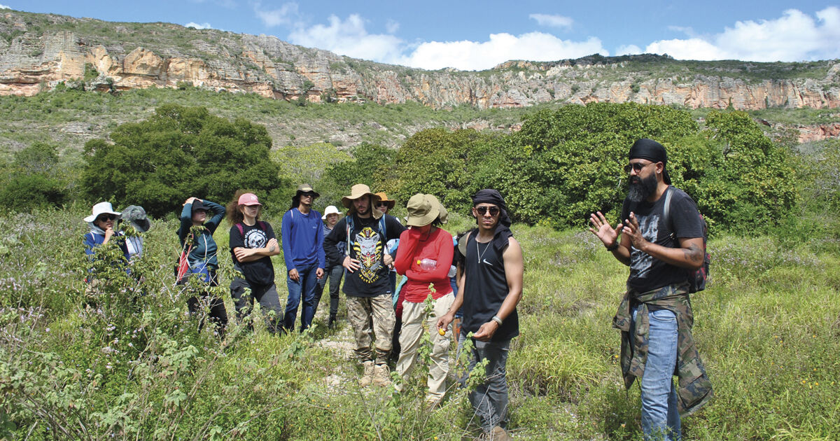 Field courses in ecology encounter obstacles in Brazil : Revista ...