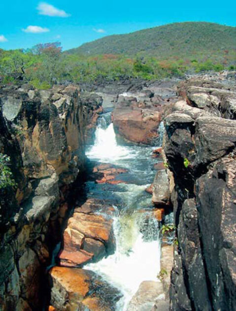 La corteza en el centro de Brasil : Revista Pesquisa Fapesp