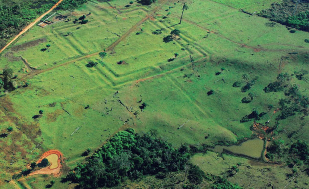 The culture of geoglyphs : Revista Pesquisa Fapesp