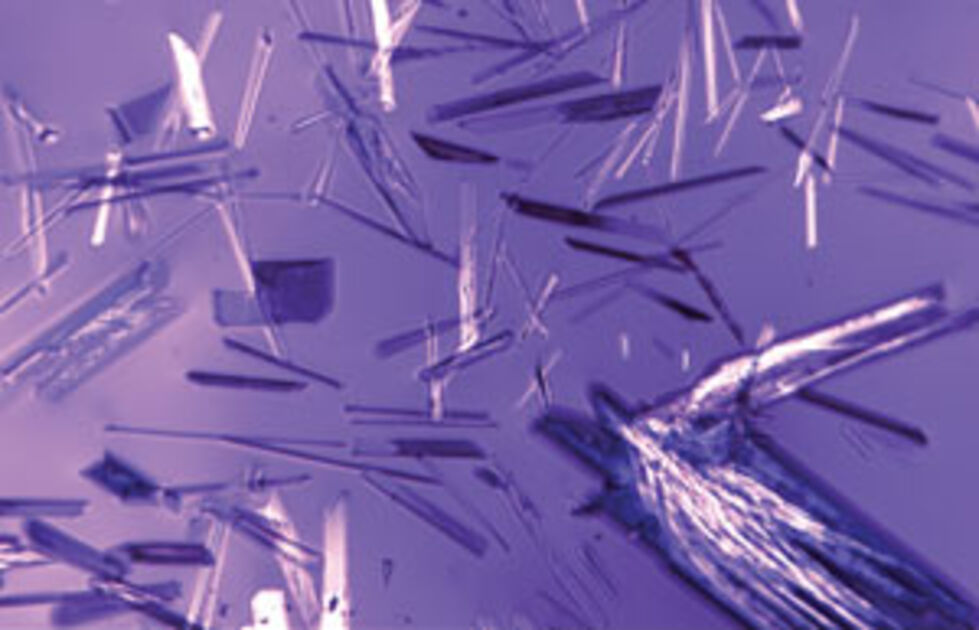 The beauty of vitroceramics : Revista Pesquisa Fapesp