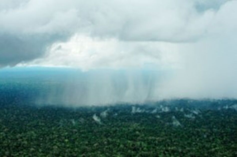 A river that flows through the air : Revista Pesquisa Fapesp