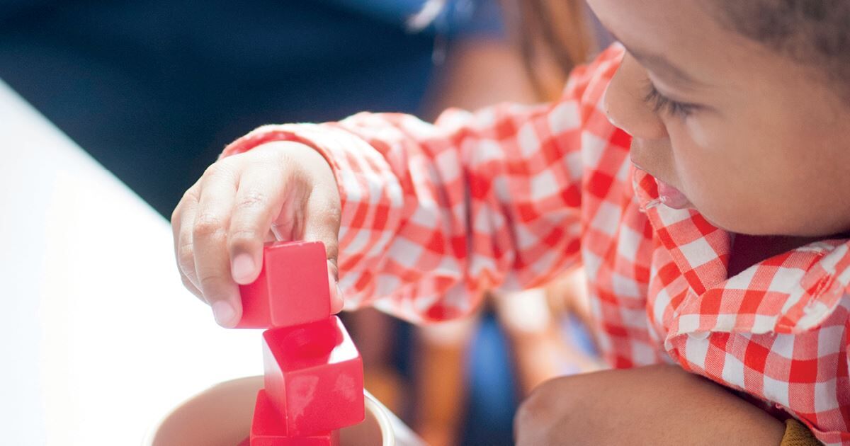 The first bonding : Revista Pesquisa Fapesp