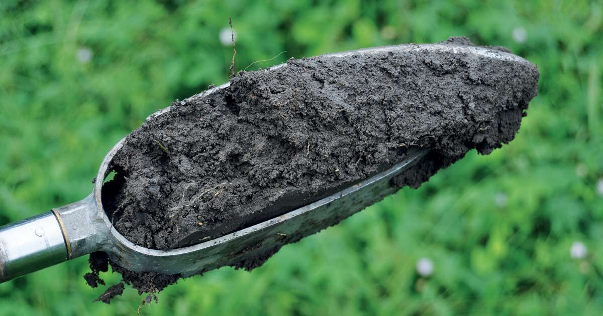 A natural origin for Amazonian dark earths? : Revista Pesquisa Fapesp