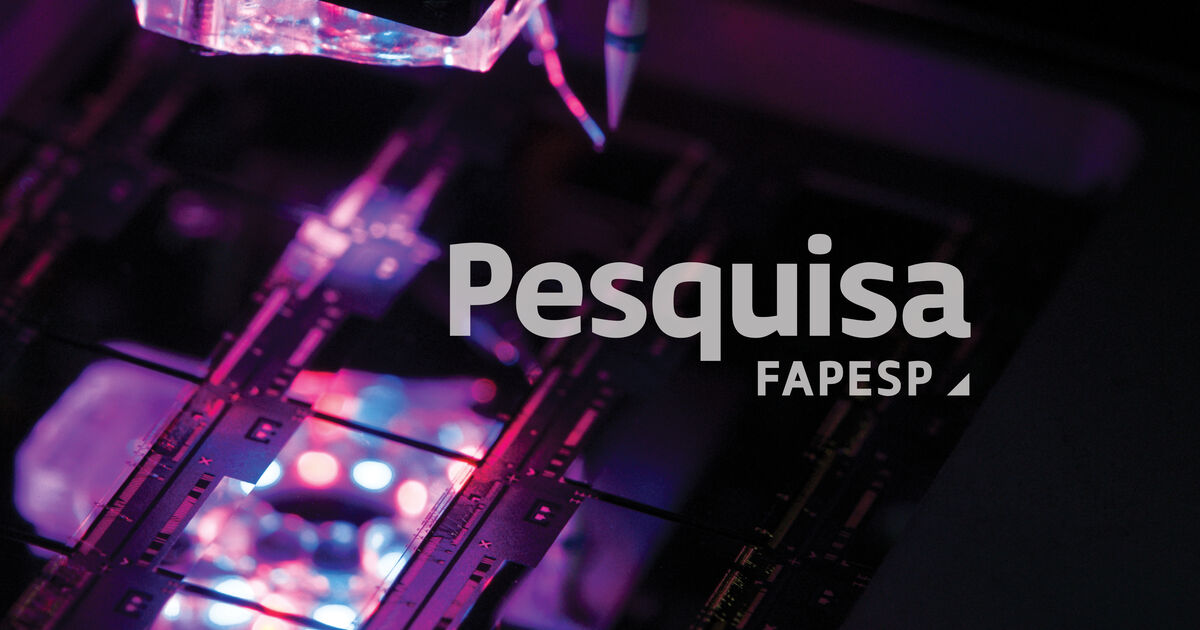 Treinta años de la Constitución de Brasil : Revista Pesquisa Fapesp