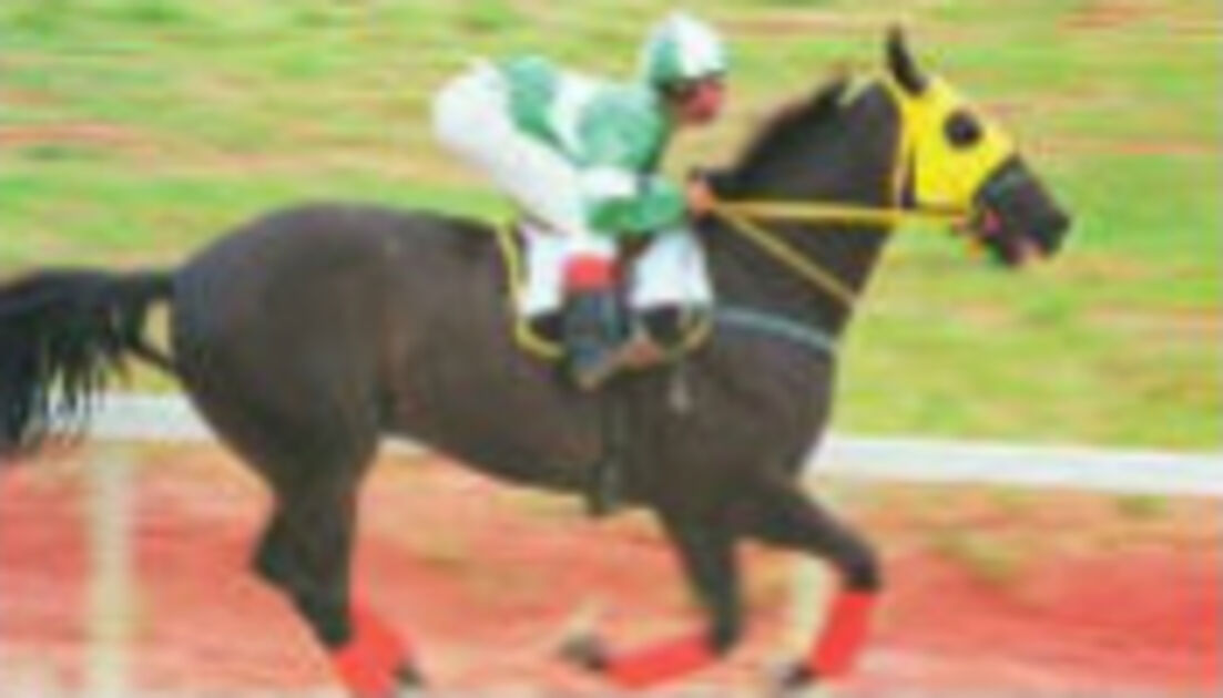 Noble animals : Revista Pesquisa Fapesp