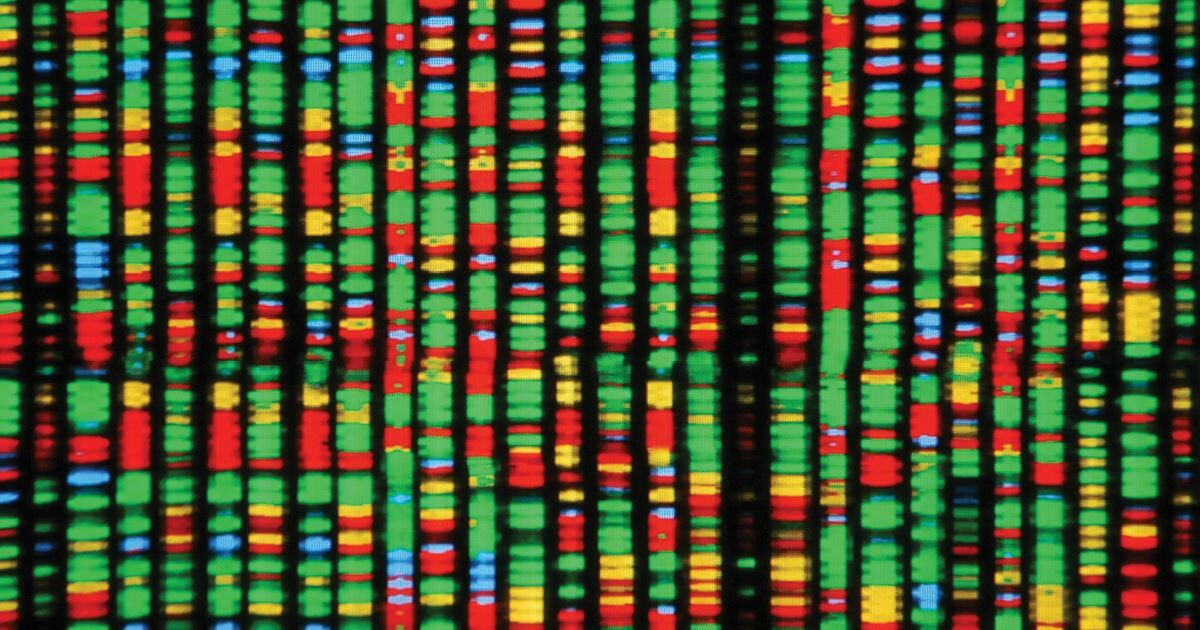 El genoma humano más completo : Revista Pesquisa Fapesp