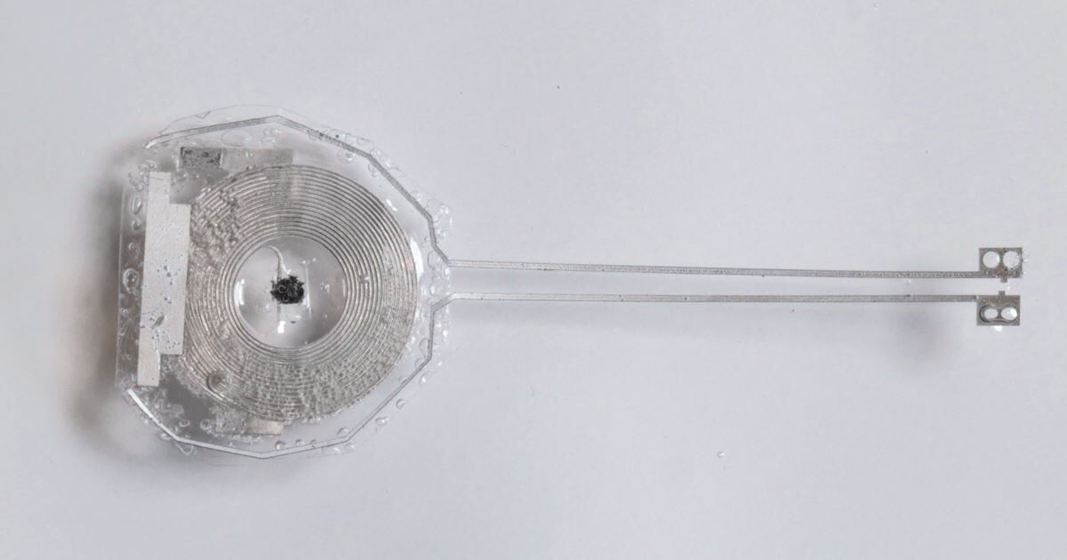 Wireless pacemaker dissolves in the body : Revista Pesquisa Fapesp