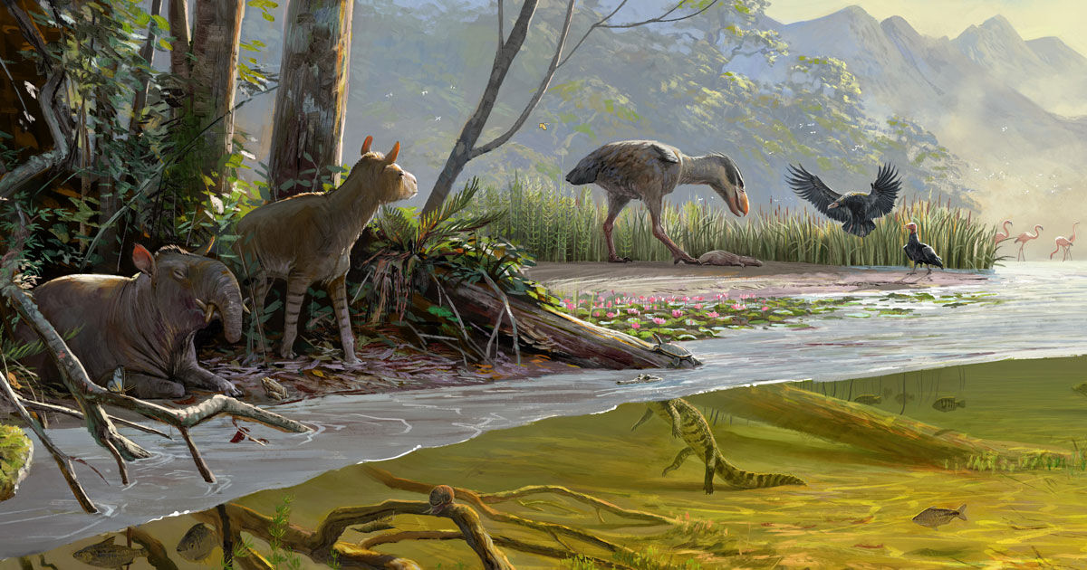 Fossilized feces contain traces of parasites that can still infect ...