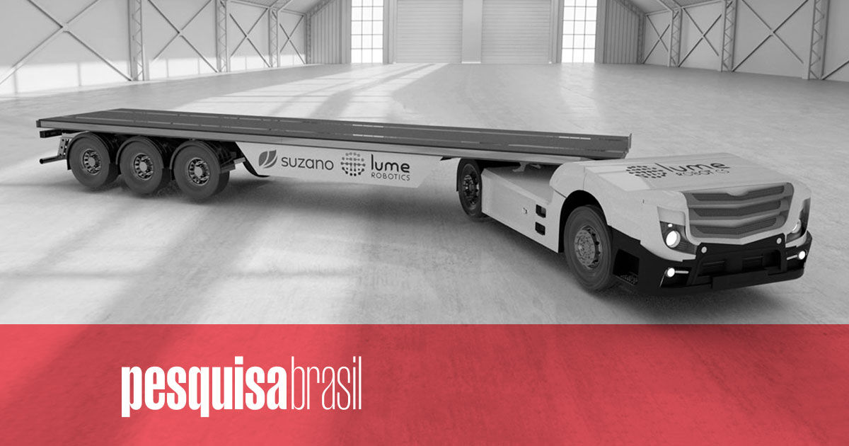 Felipe Pacheco : Revista Pesquisa Fapesp