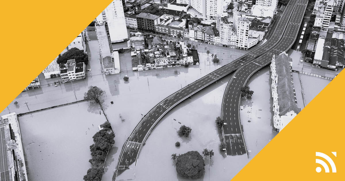 Fernando Mainardi Fan : Revista Pesquisa Fapesp