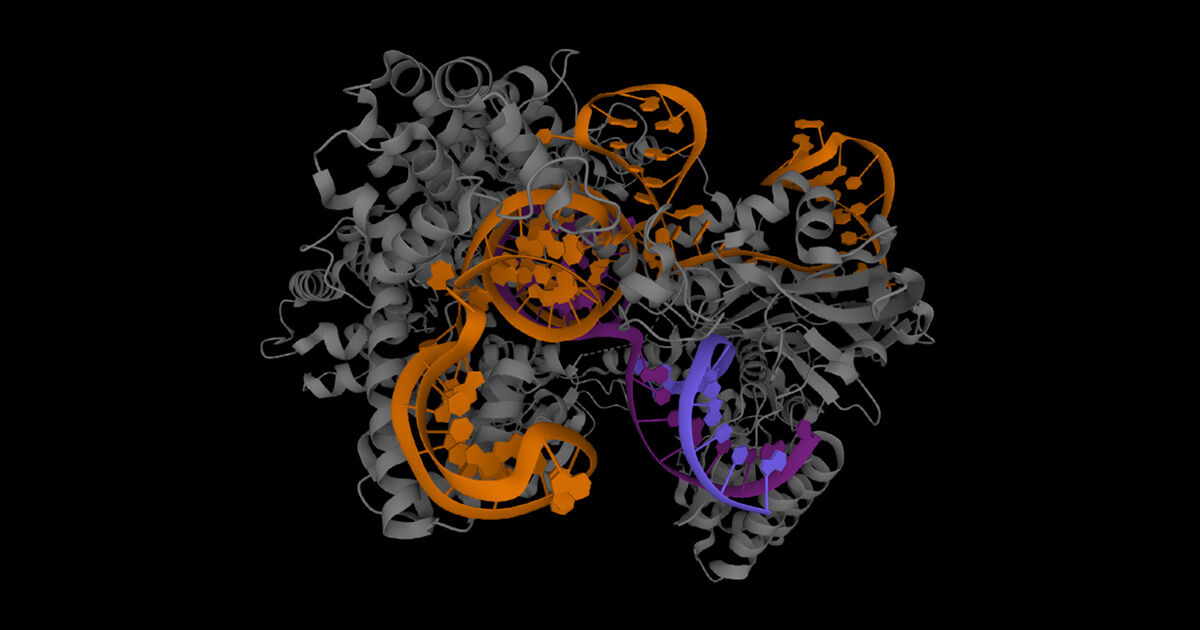 Risks of gene editing in babies : Revista Pesquisa Fapesp