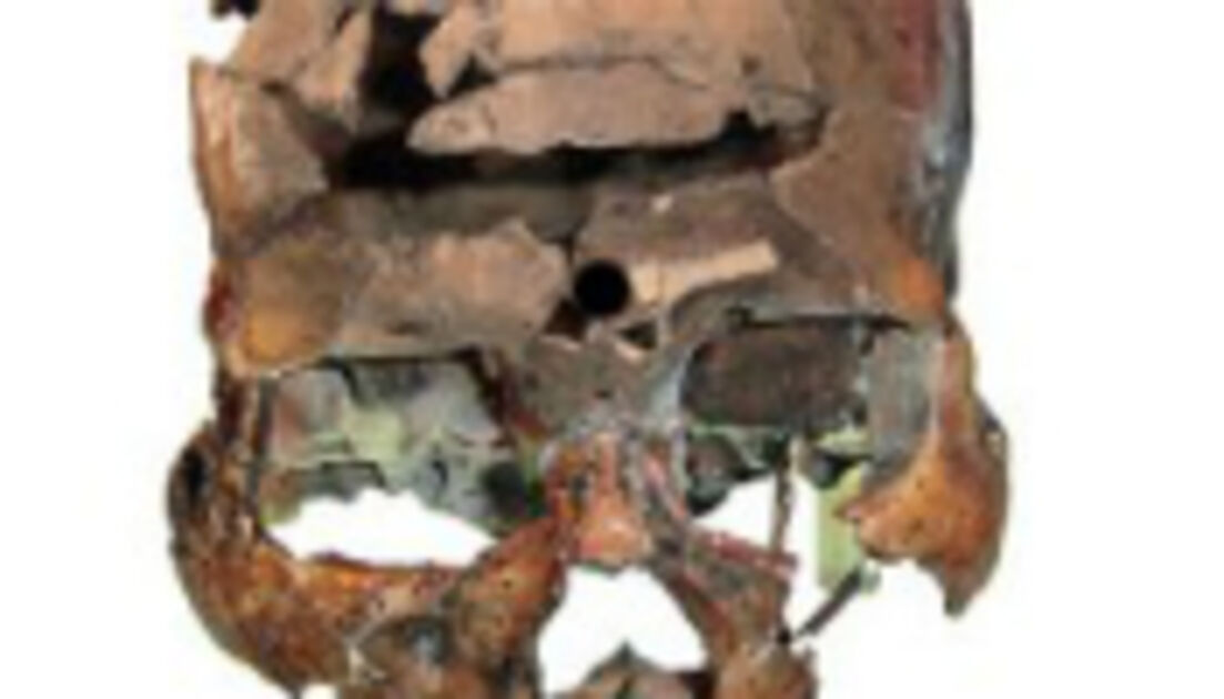 The origin of Zuzu : Revista Pesquisa Fapesp