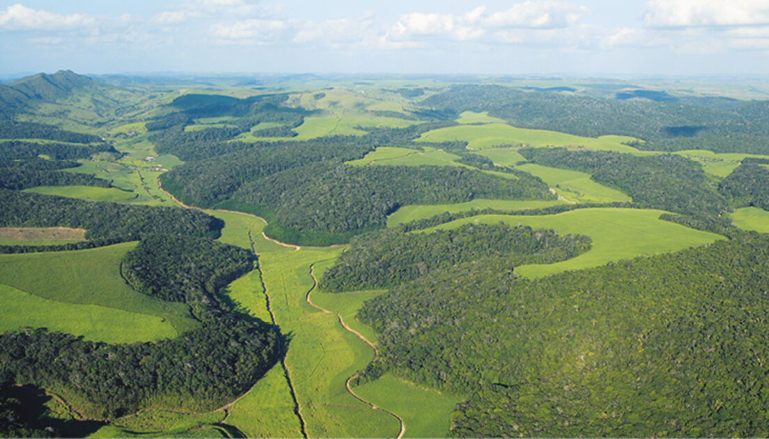 Islas de selva : Revista Pesquisa Fapesp