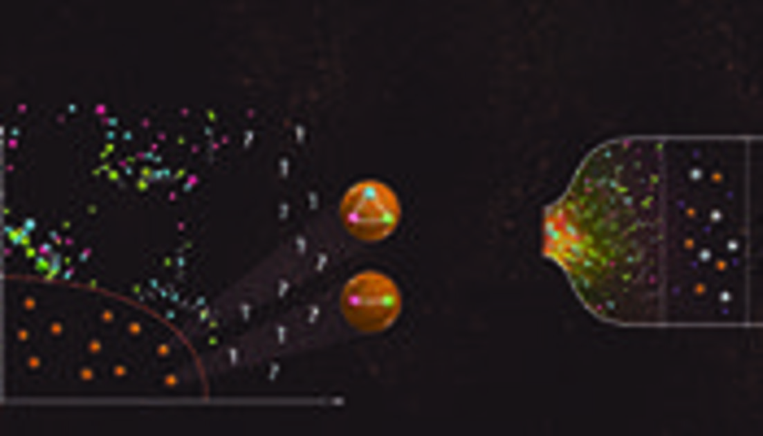 Sopa primordial : Revista Pesquisa Fapesp