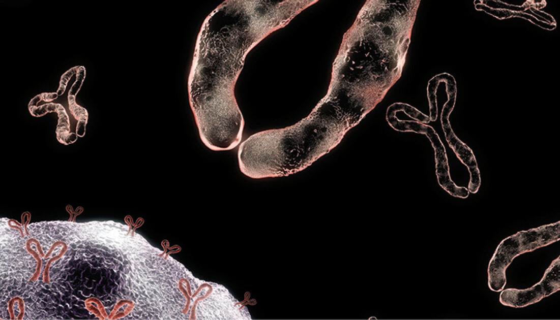 Building a drug : Revista Pesquisa Fapesp