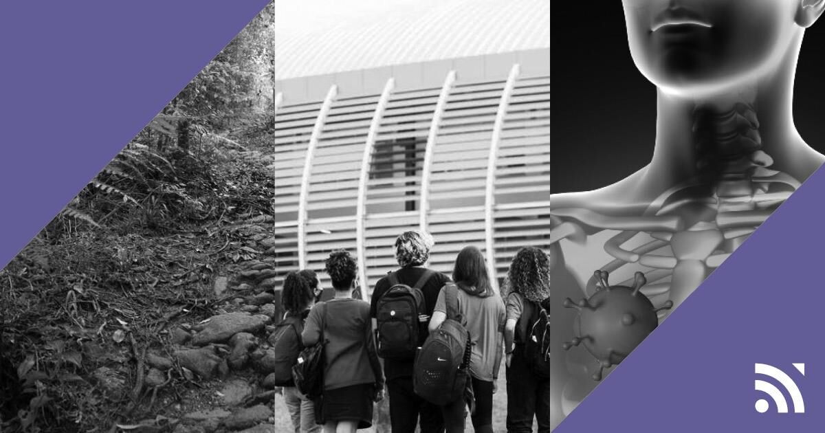 Jorge Pimentel Cintra : Revista Pesquisa Fapesp