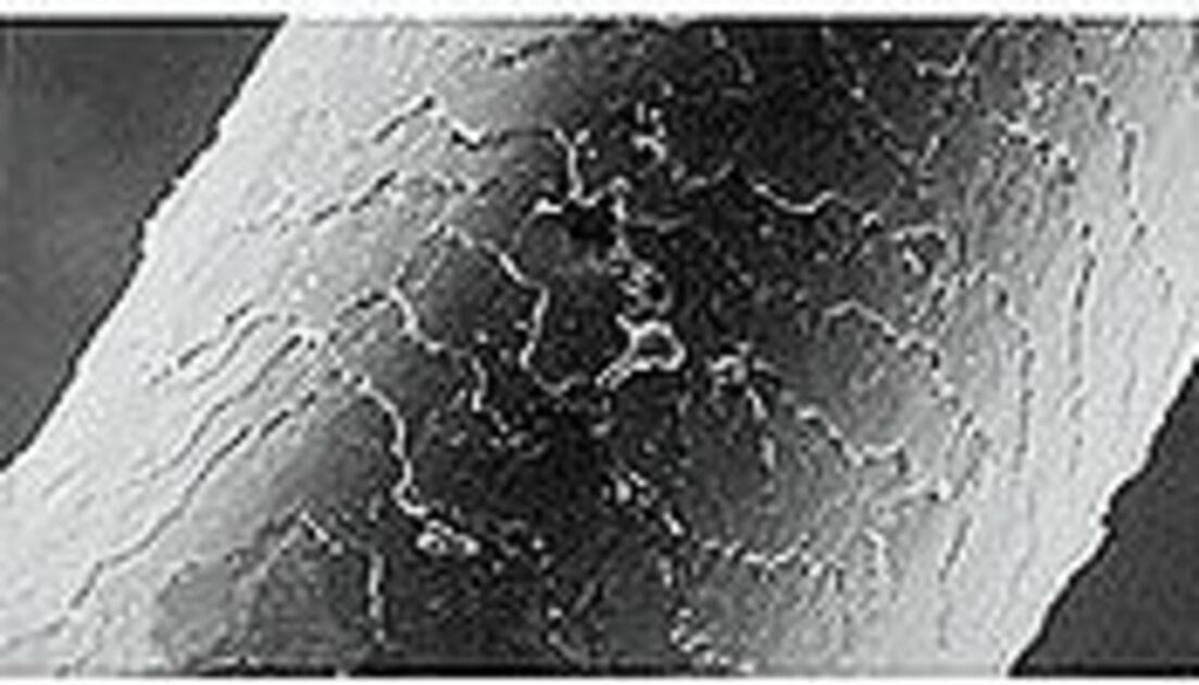 Hilo por hilo : Revista Pesquisa Fapesp