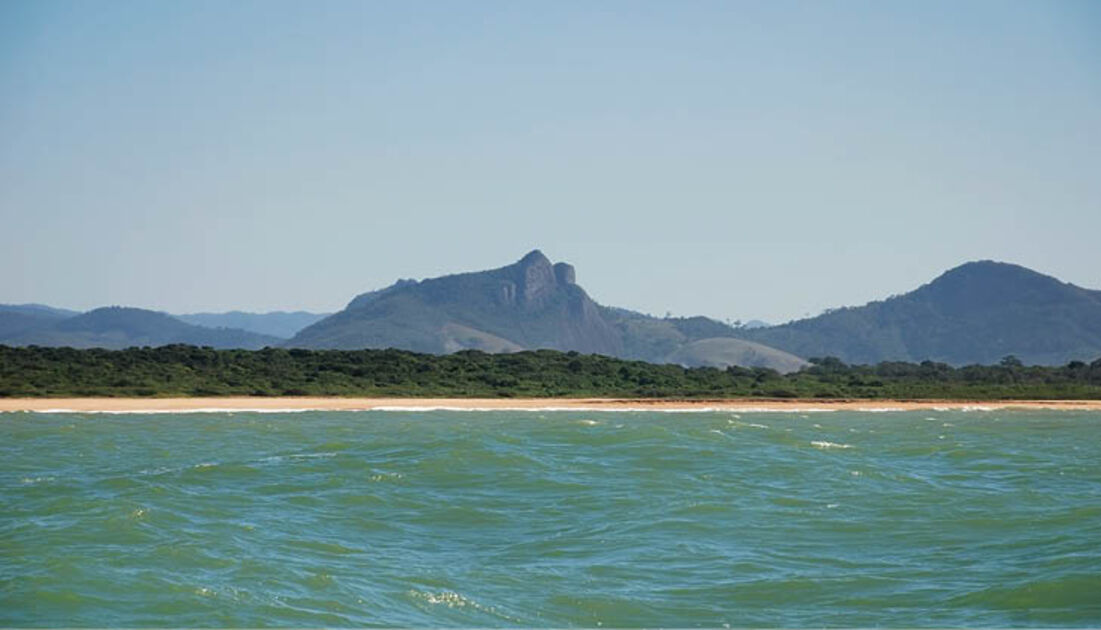 Quando o mar era floresta : Revista Pesquisa Fapesp