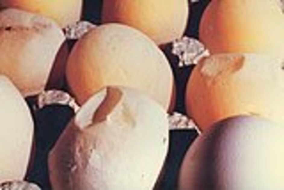 Thick shell : Revista Pesquisa Fapesp