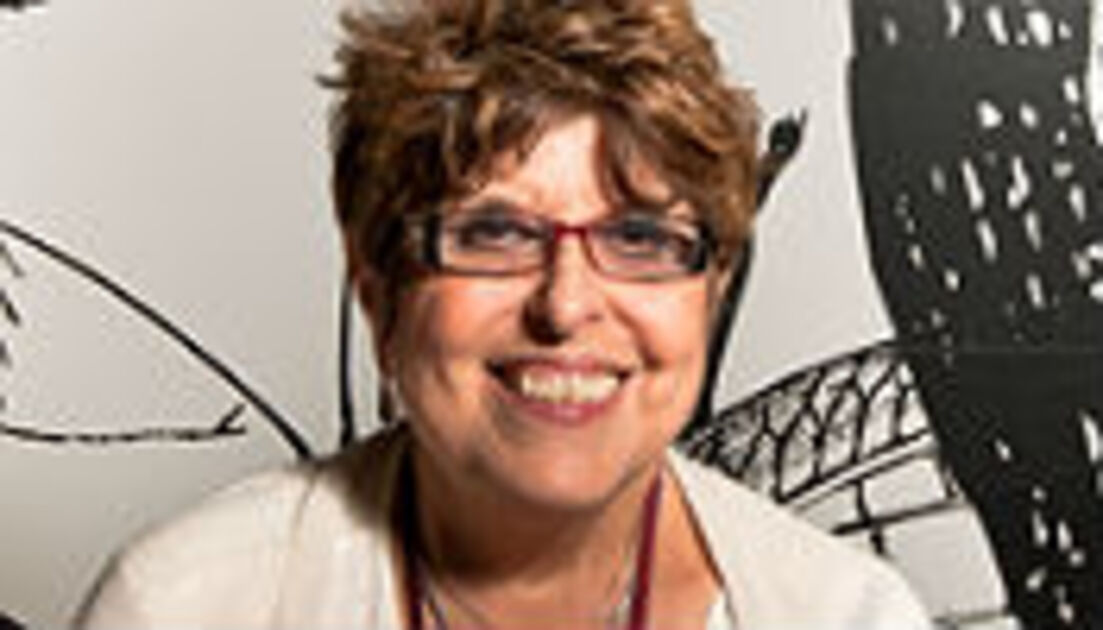 Regina Silveira: A mágica das sombras : Revista Pesquisa Fapesp