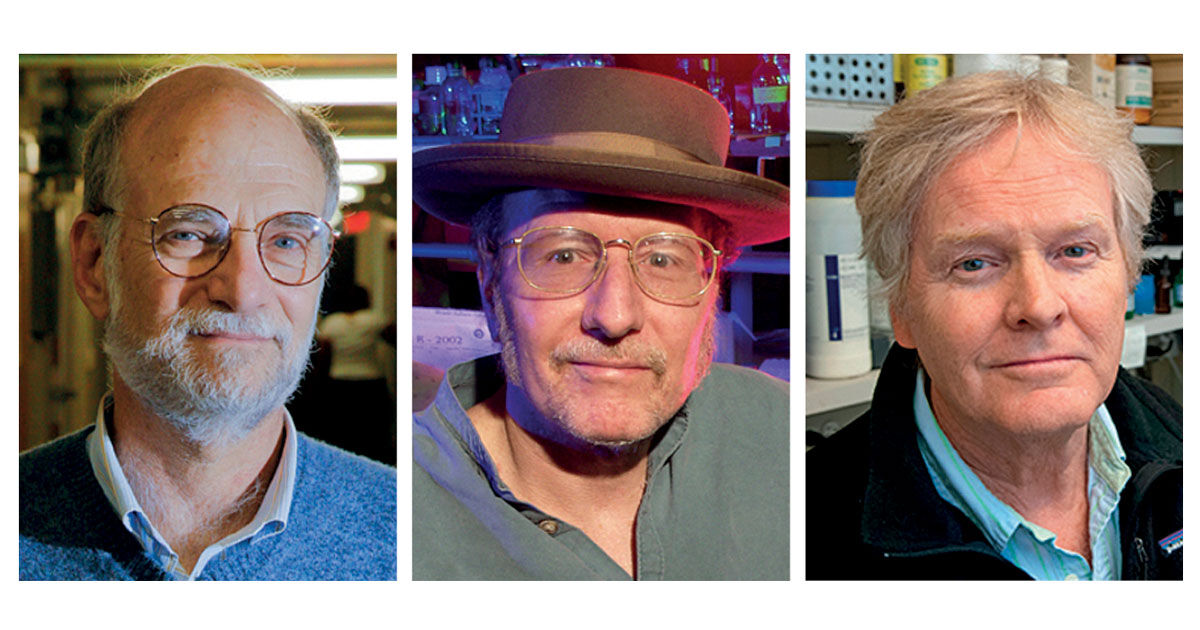 Nobel honors research into the biological clock : Revista Pesquisa Fapesp