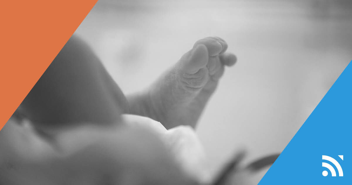 Entrevista: Fernando Barros : Revista Pesquisa Fapesp