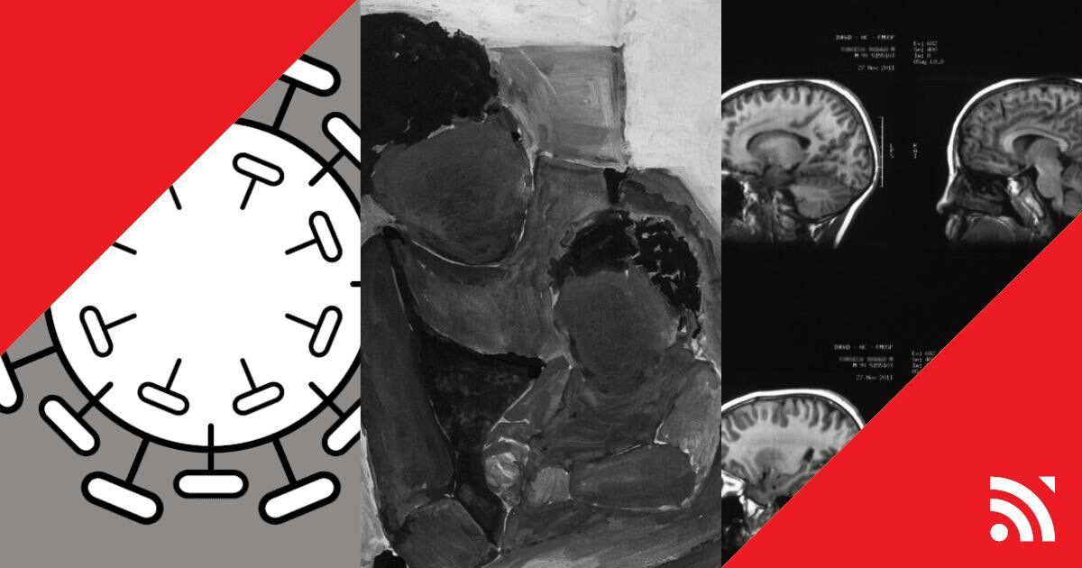 Andrea Jackowski : Revista Pesquisa Fapesp