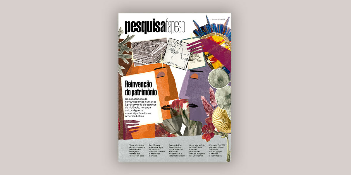 Patrimônios : Revista Pesquisa Fapesp