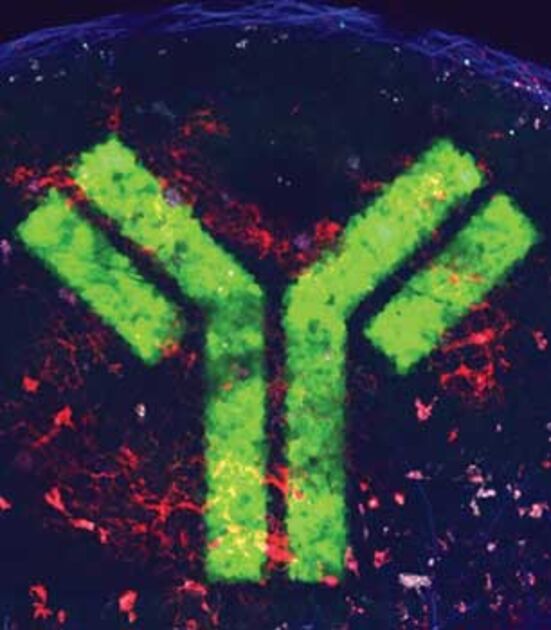 Microscopic torch : Revista Pesquisa Fapesp