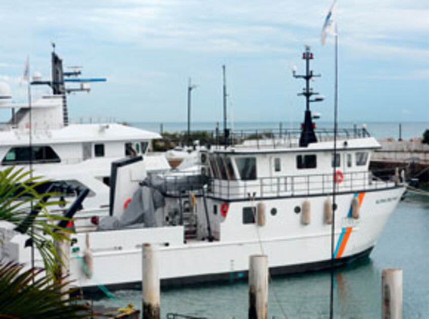 El debut del Alpha Delphini : Revista Pesquisa Fapesp