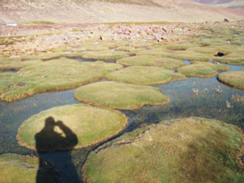 The headwaters of a river : Revista Pesquisa Fapesp