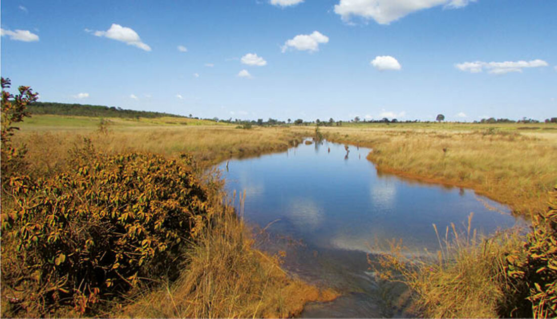 History of the landscape in river sand : Revista Pesquisa Fapesp