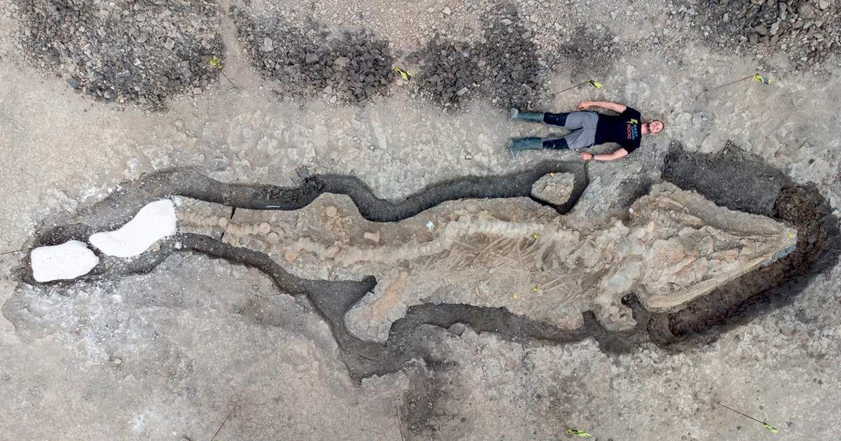 El mayor fósil de “dragón marino” del Reino Unido : Revista Pesquisa Fapesp