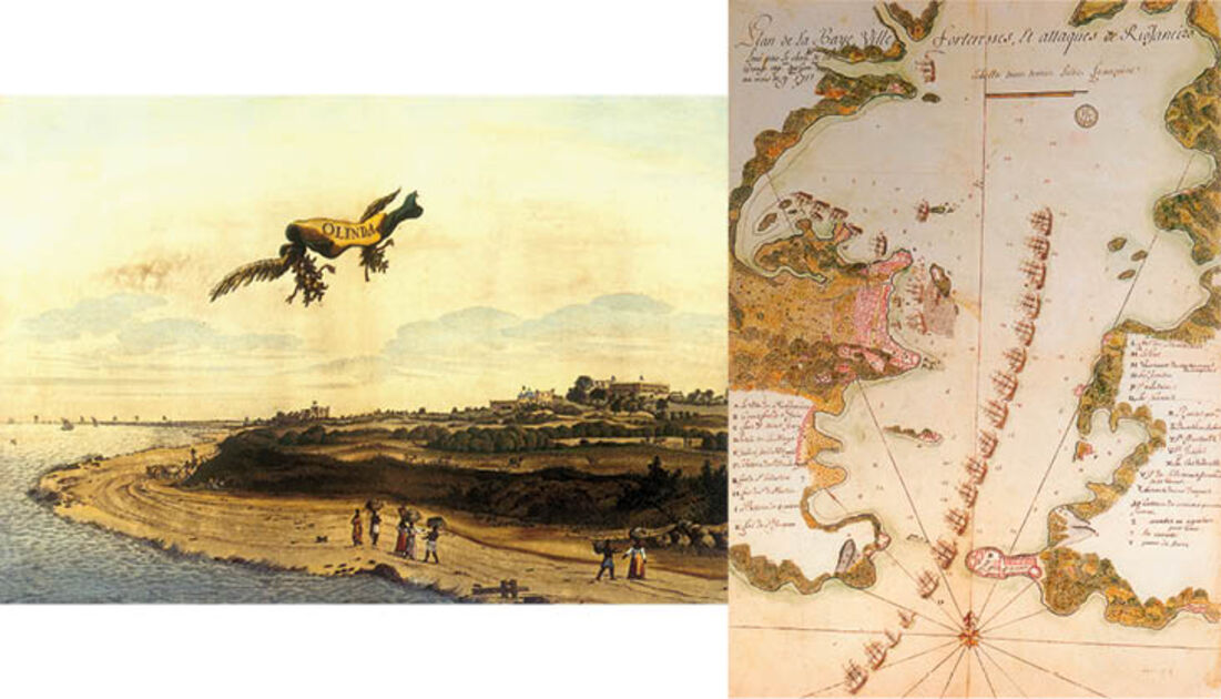 Além do butim : Revista Pesquisa Fapesp