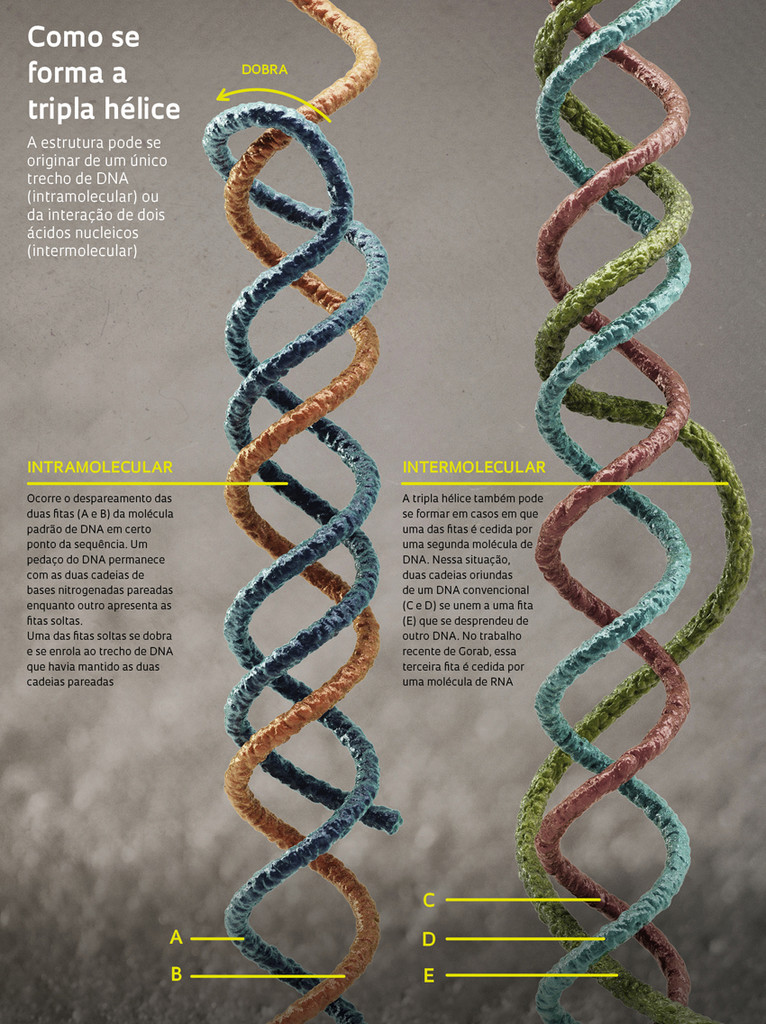 O efeito da tripla hélice : Revista Pesquisa Fapesp