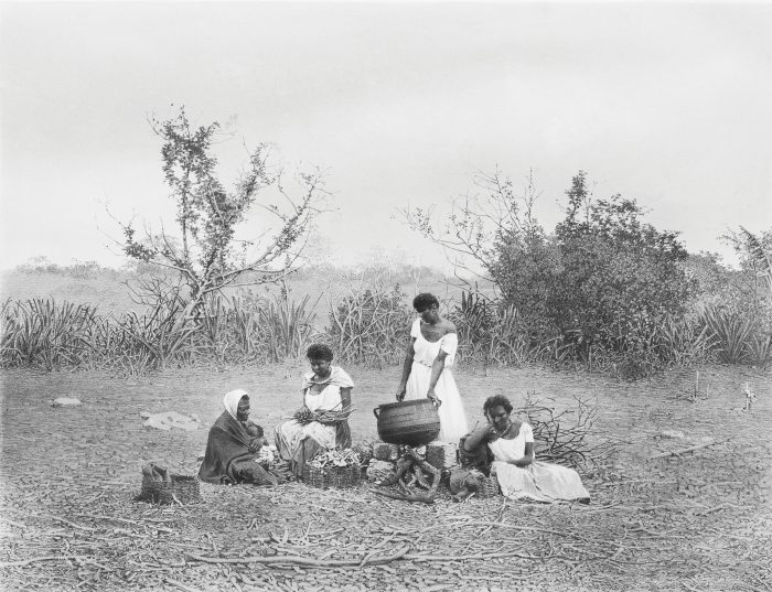 A economia dos quilombos : Revista Pesquisa Fapesp