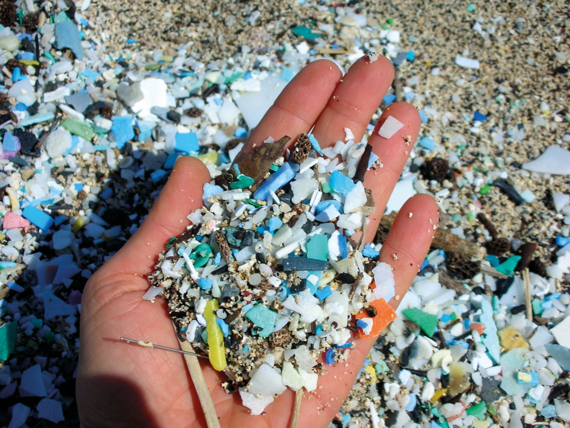 A ameaça dos microplásticos : Revista Pesquisa Fapesp