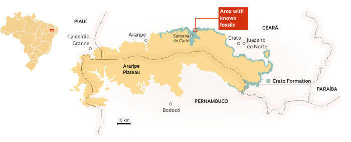Why Crato uniquely preserves fossils : Revista Pesquisa Fapesp