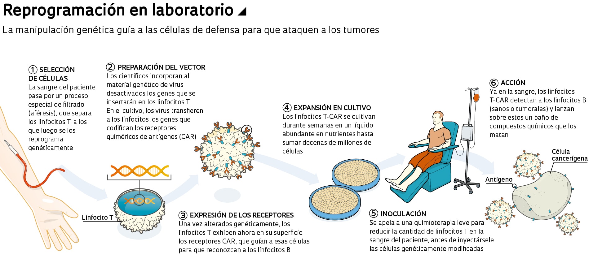 La batalla entre células : Revista Pesquisa Fapesp